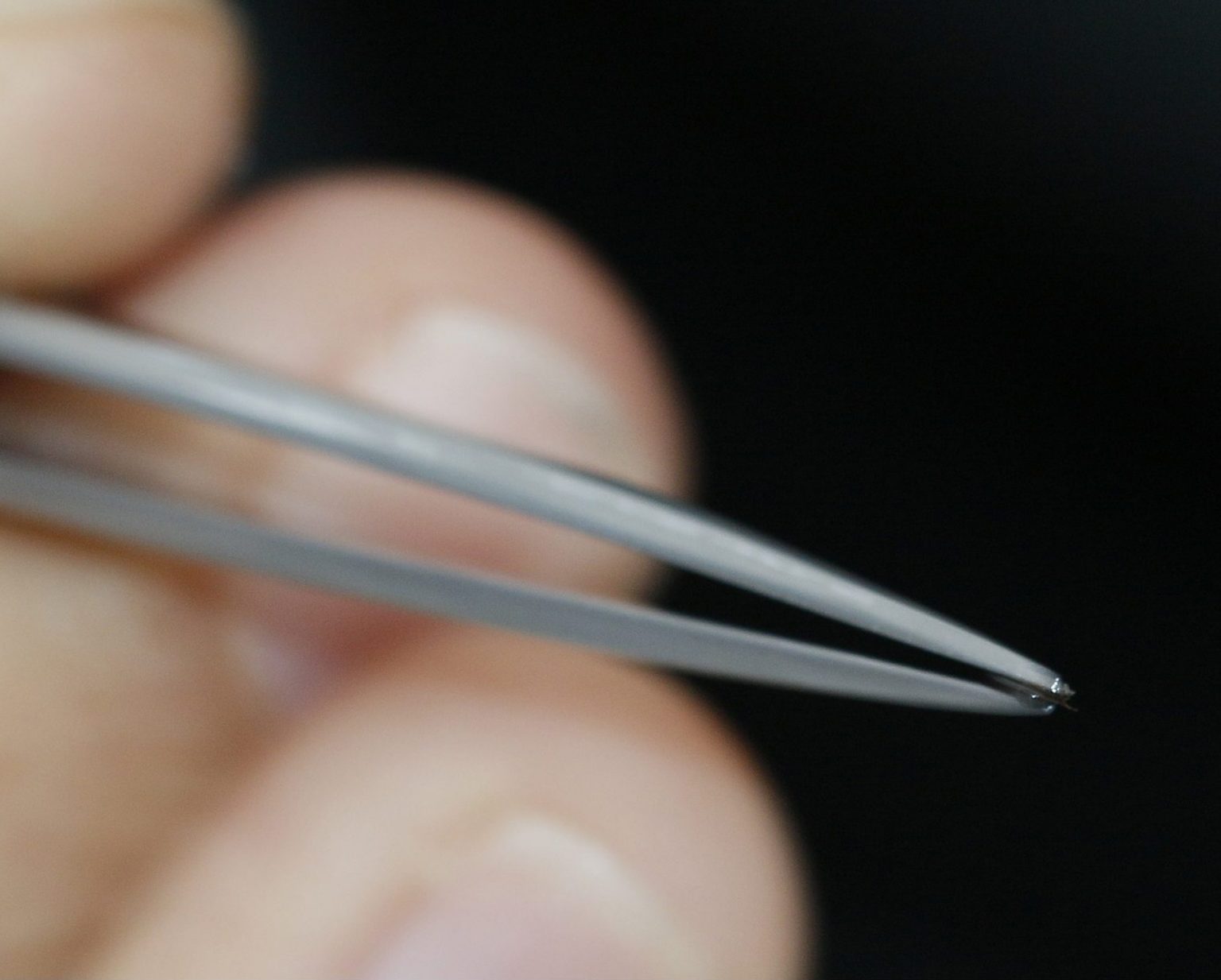 Colorado Tick-Borne Disease Awareness Association (COTBDAA) - Prevention