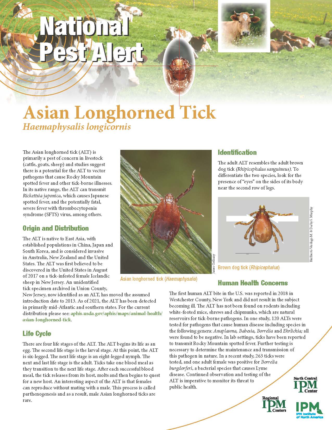 Colorado Tick-Borne Disease Awareness Association (COTBDAA) - Education ...